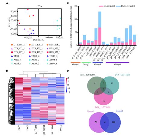 Overall Description Of Metabolome Data A Principal Component