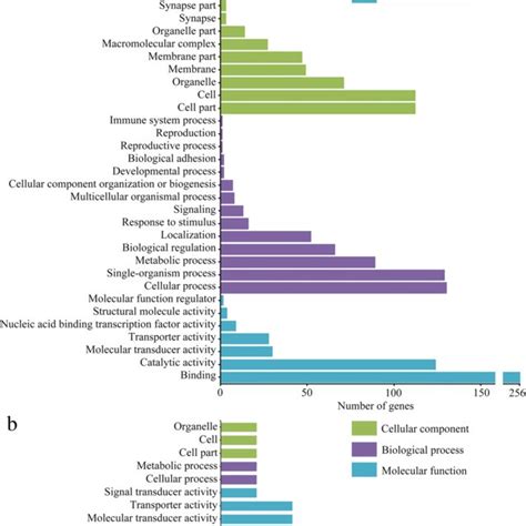 Go Analyses For The Source Genes Of Total A Cerana Cerana Circrnas And