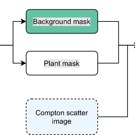 Flow Chart Of The Segmentation Algorithm Blue Striped Boxes Denote Download Scientific Diagram