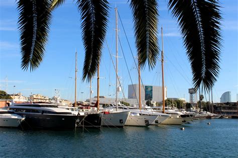 Learning The Secrets Of Managing Multiple Scrum Teams