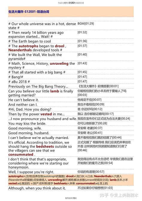 生活大爆炸台词剧本pdf精排版1 12季双语左右对照 音频生活大爆炸台词本剧本big Bang Theory台词本 知乎