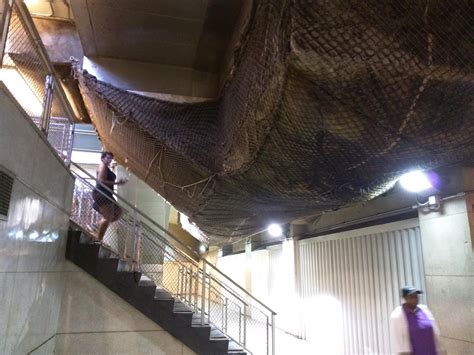 What All This Tarp And Netting Is Struggling To Hold Up We Dont Know
