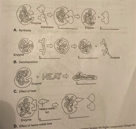 aandp chapter 2 diagram 2 diagram quizlet