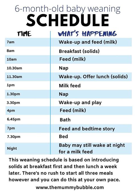 Perfect Daily Schedule For A 6 Month Old Baby Artofit