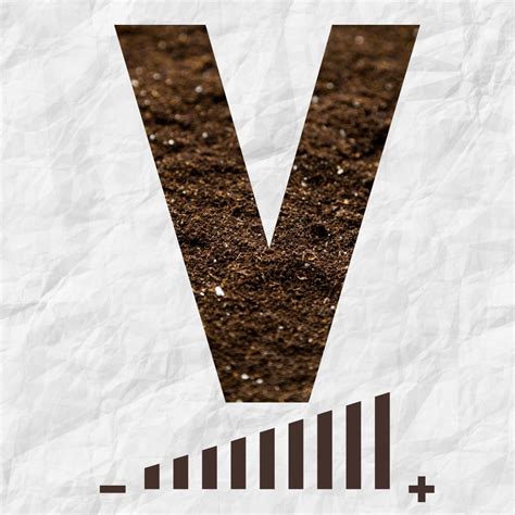 Tree Root Subsidence Soil Volume Changes Tree Law Legal Tree Expert