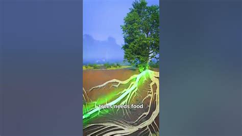 Most Powerfull Weapen In Tree Facts Tree Soundar Youtube