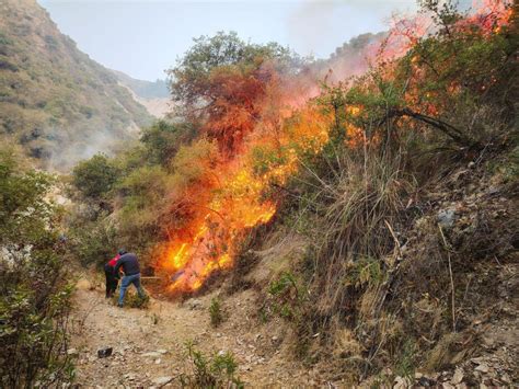 Incendios Forestales Perú 2024 Hoy últimas noticias Nuevo incendio