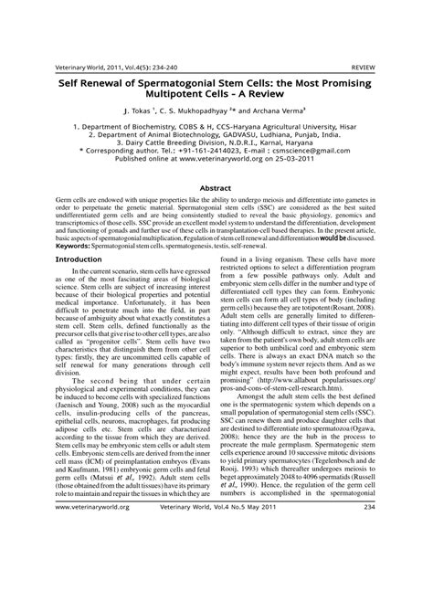 Pdf Self Renewal Of Spermatogonial Stem Cells The Most Promising