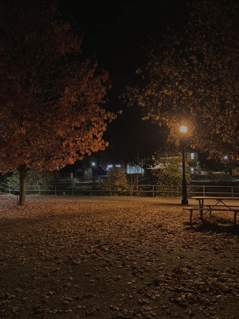 Laurens Learning Journey Simple Book Publishing