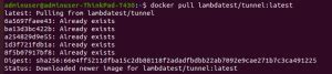New LambdaTest Tunnel Binary For Better UI Enhanced Security