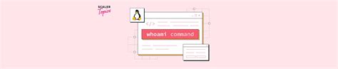 Whoami Command In Linux Scaler Topics