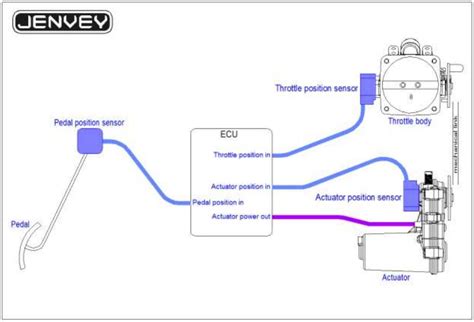 Competition Systems Winning Edge Technology Electronic Throttle Actuator