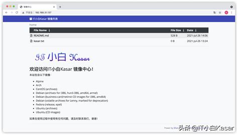 一文学会提高Nginx目录服务私有镜像仓库目录美观性 nginx 目录映射