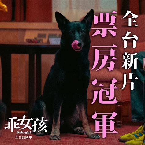 Garageplay 車庫娛樂 🥛「 女生都該看一次」《乖女孩》登 全台新片票房冠軍 全球票房破10 2億 🥛