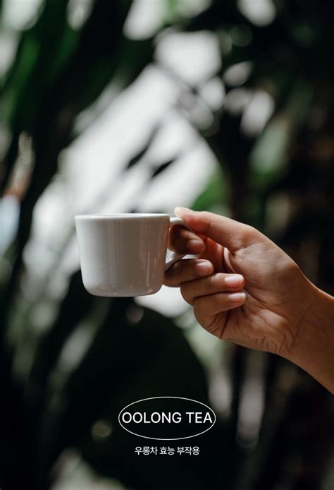 우롱차 효능 5가지와 부작용 녹차 홍차 차이점 네이버 블로그