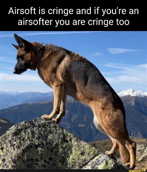 Airsoft Is Cringe And If Youre An Airsofter You Are Cringe Too Ifunny