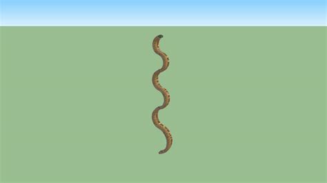 Squiggle 3d Warehouse