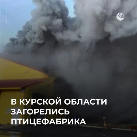 Корпуса птицефабрики АО Куриное царство горят РИА Новости
