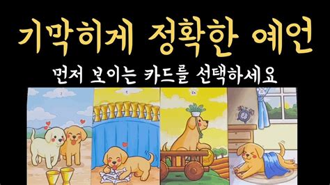 타로 기가 막히게 잘 맞는 예언 진심으로 기원합니다🙏🏻 Youtube