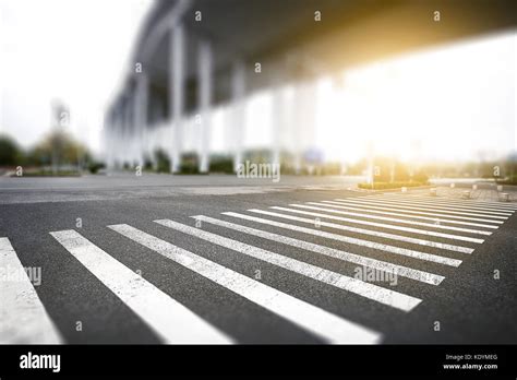 Floating Zebra Crossing At Vivian Donnelly Blog