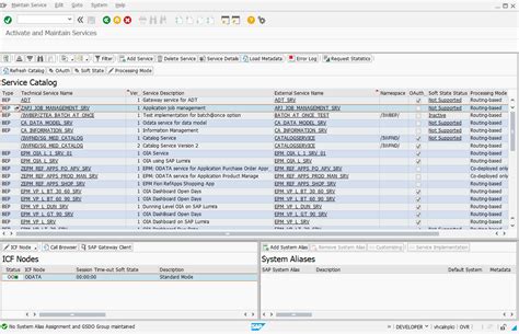 ODATA Services In Fiori Sap Security Pages
