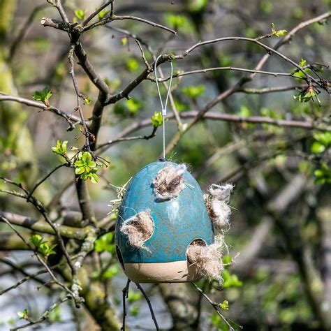Eco Nesting Material For Birds 50g Wool Jute And Hay