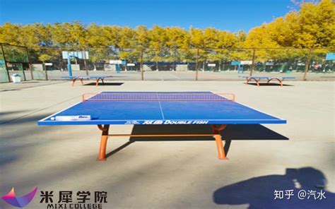 学什么it比较好，薪资高，入门快 知乎