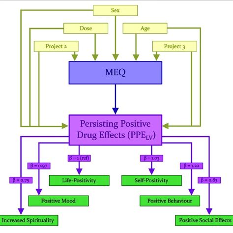 Latent Variable Model Schematic Diagram Describing The Structure Of