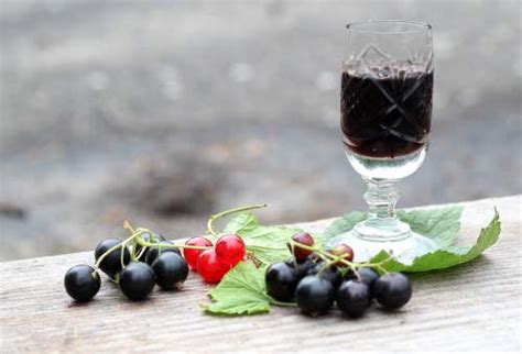 Liqueur De Cassis Maison Recette De Qualité