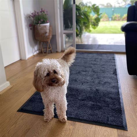 Extra Long Coir Door Mat Double Border 15mm 55 X 150cm Doormat