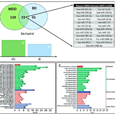A Sankey Plot Showing Biological Pathways Connected With The Genes