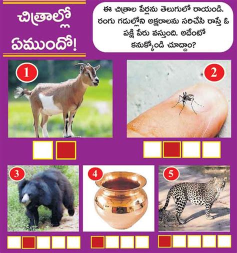 తడల కనకకడ general