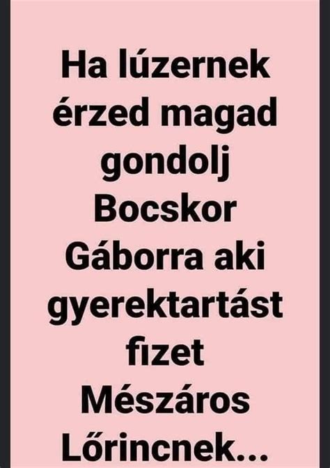 Pin Di D Ri Fejes Su Vicc