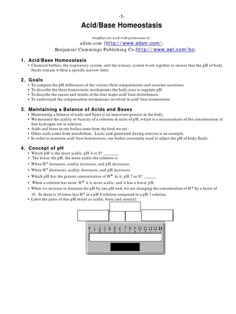 Acid Base Homeostasis Pdf