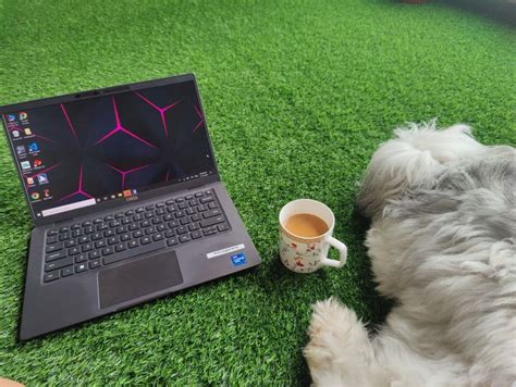 pooja sontakke posted on linkedin