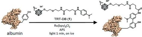 Rubpy European Journal Of