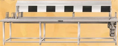Online Visual Inspection Conveyor Load Capacity 200 Kg At ₹ 290000 In