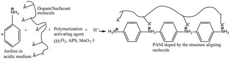 Polyaniline Nanostructures Techniques In Structure Tailored Polymerisation Superstructures