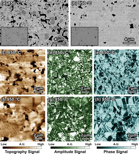 Presence Of Mci And Interruption Of Domain Configuration In Sintered Download Scientific