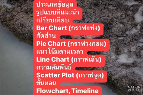 ห้องเรียนภาษาไทยออนไลน์ 👉ประเภทข้อมูล💚 รูปแบบที่แนะนำ ใช้เปรียบเทียบ Bar Chart กราฟแท่ง