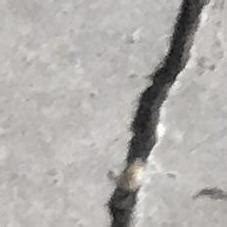 Crack Seg Instance Segmentation Dataset By Nuaa