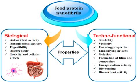 Some Biological And Techno Functional Properties Of Food Protein