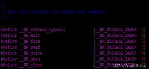 Linux系统调用的详解 Csdn博客