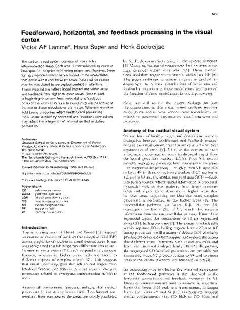 Pdf Feedforward Horizontal And Feedback Processing In The Visual Cortex