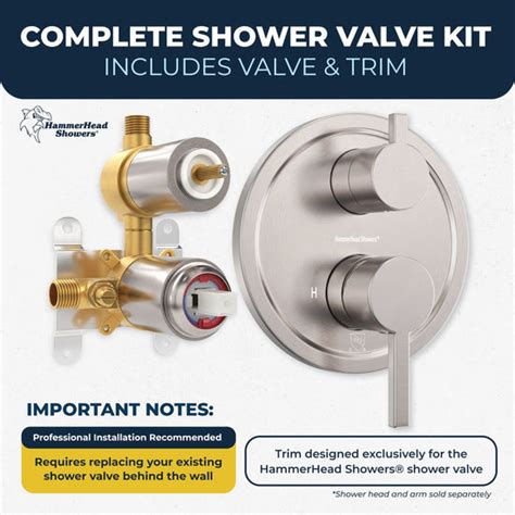 2 Handle Shower Valve And Trim With Built In Diverter Hammerhead™