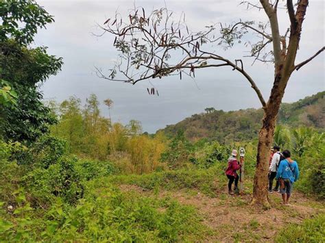 Farm Lot For Sale Mabini Batangas 163 Properties September 2024 On