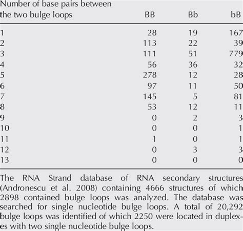 number of base pairs separating two single nucleotide bulge loops in