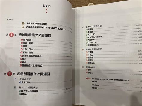 新品消化器 エビデンスに基づく疾患別看護ケア関連図 大注目 38 0 割引 swim main jp