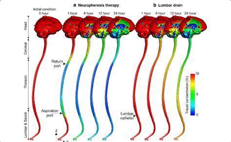 Cfd Results For 2d Tracer Concentration Profiles Versus Time Under