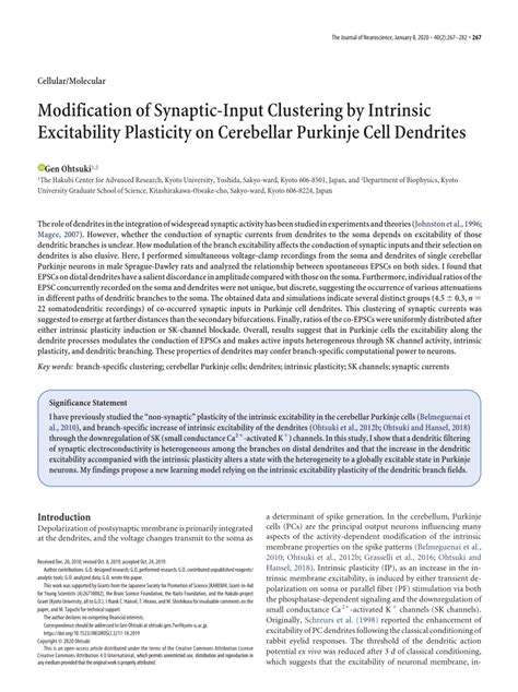 pdf modification of synaptic input clustering by intrinsic